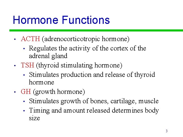 Lab Activity 21 Endocrine System Glucometer Portland Community