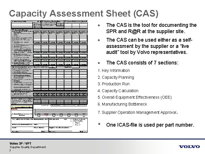 Initial Capacity Assessment Sheet ICAS Capacity Assessment Sheet