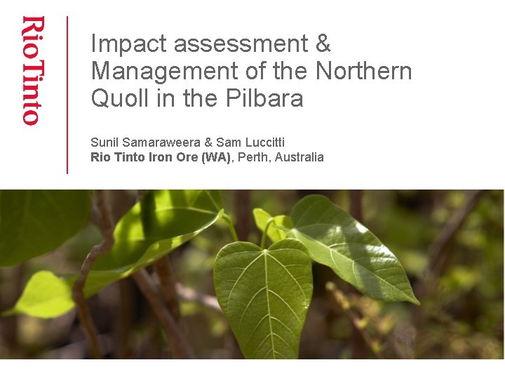 Impact assessment Management of the Northern Quoll in