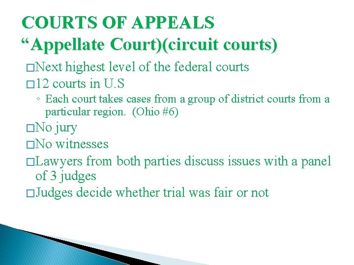 FEDERAL COURT SYSTEM HEARS BOTH CRIMINAL CIVIL CASES
