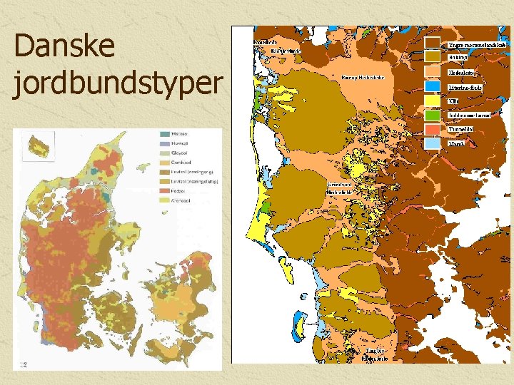 Jordbunden som ressource Pedologi Jordbundsdannelse Klima Organismer og