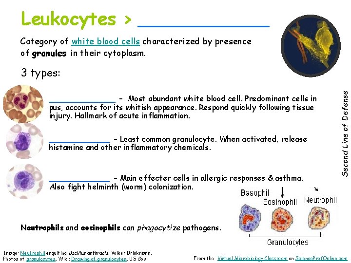 About Science Prof Online Power Point Resources Science