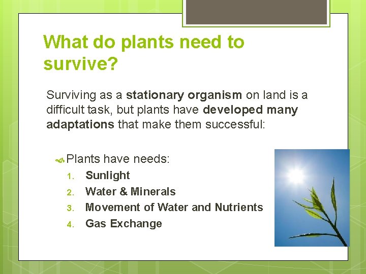 Life Science Introduction Introduction Plants are the most