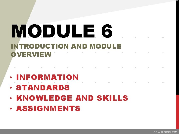 MODULE 6 INTRODUCTION AND MODULE OVERVIEW INFORMATION STANDARDS