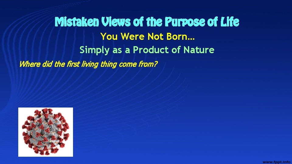 Why Were You Born www Bible Study Lessons