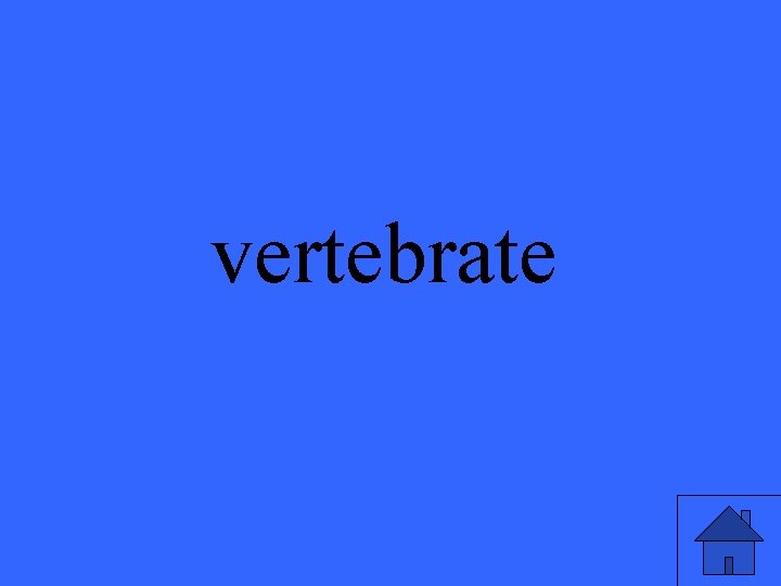 Vertebrates Classification Invertebrates Vertebrate Phyla Plants 1 Plants