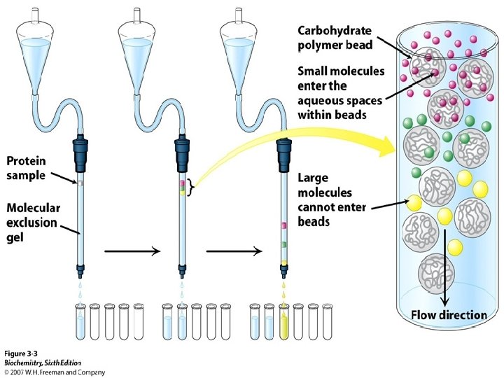 GEL FILTRATION CHROMATOGRAPHY Size Exclusion Chromatography What is