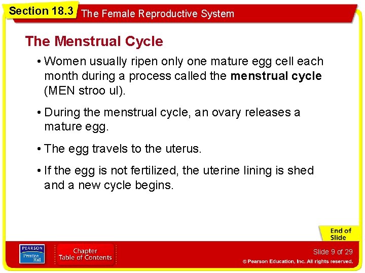 Section 18 3 The Female Reproductive System Objectives