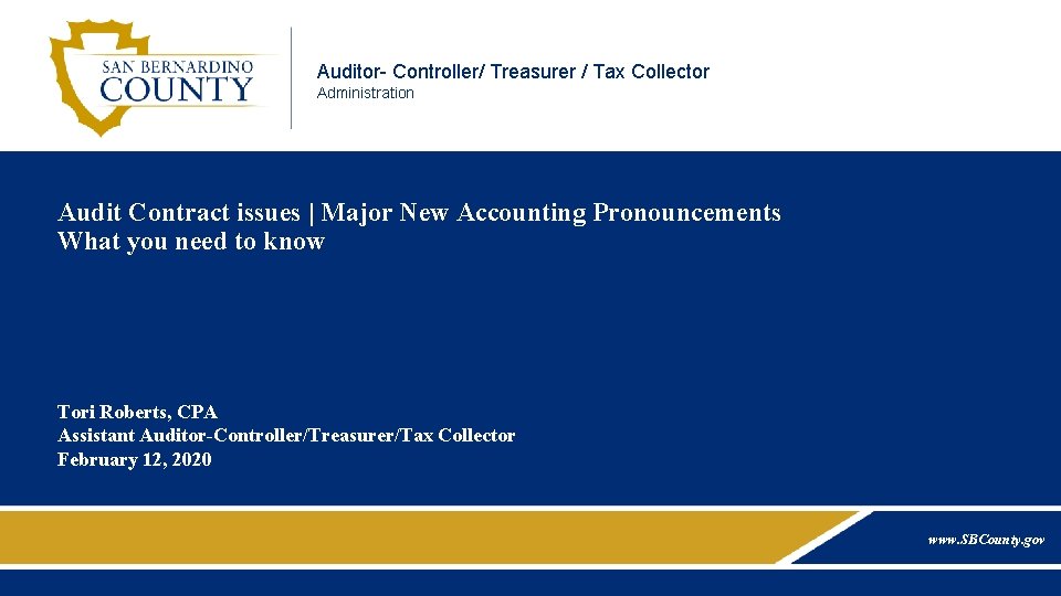 Auditor Controller Treasurer Tax Collector Administration Audit Contract