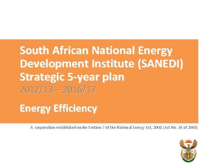 South African National Energy Development Institute SANEDI Strategic