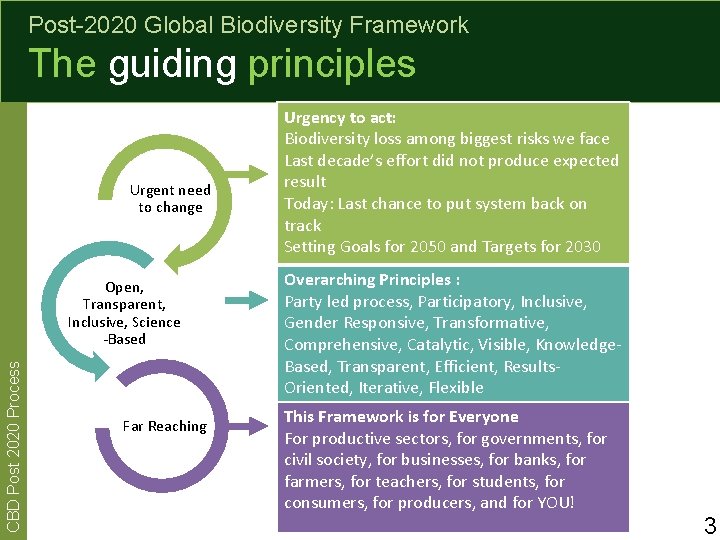 Post 2020 Global Biodiversity Framework Process For Sbi3
