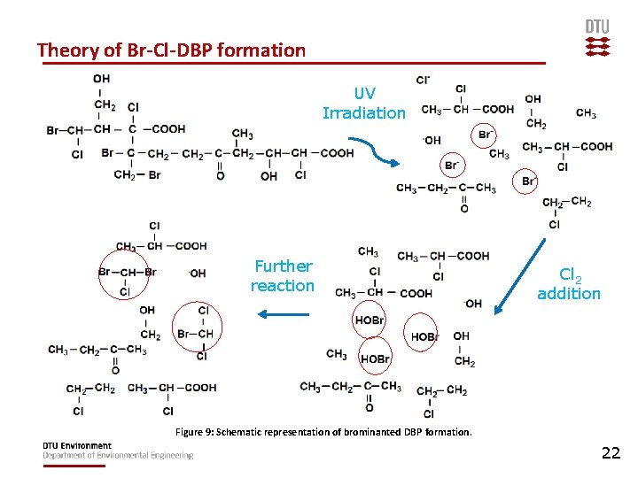 Photolysis and secondary formation of disinfection byproducts by