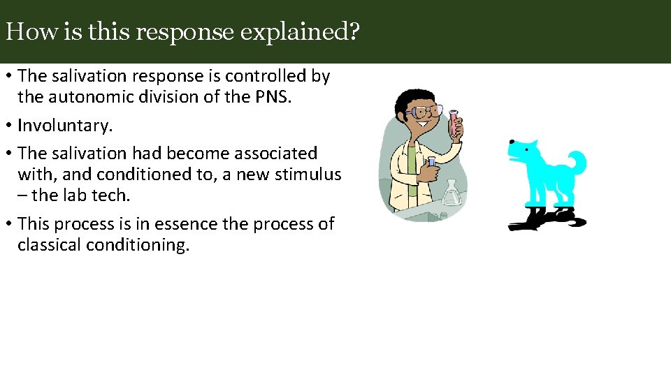 Classical Conditioning Learning by Response EQ What is