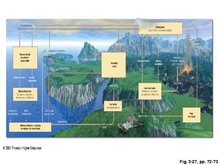 Ecosystems Energy Flow and Matter Recycle What Sustains