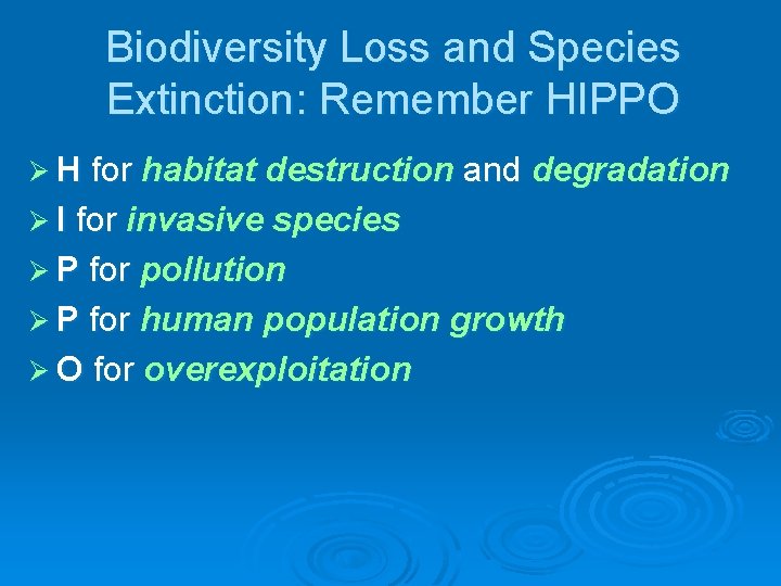 Ecosystems Energy Flow and Matter Recycle What Sustains