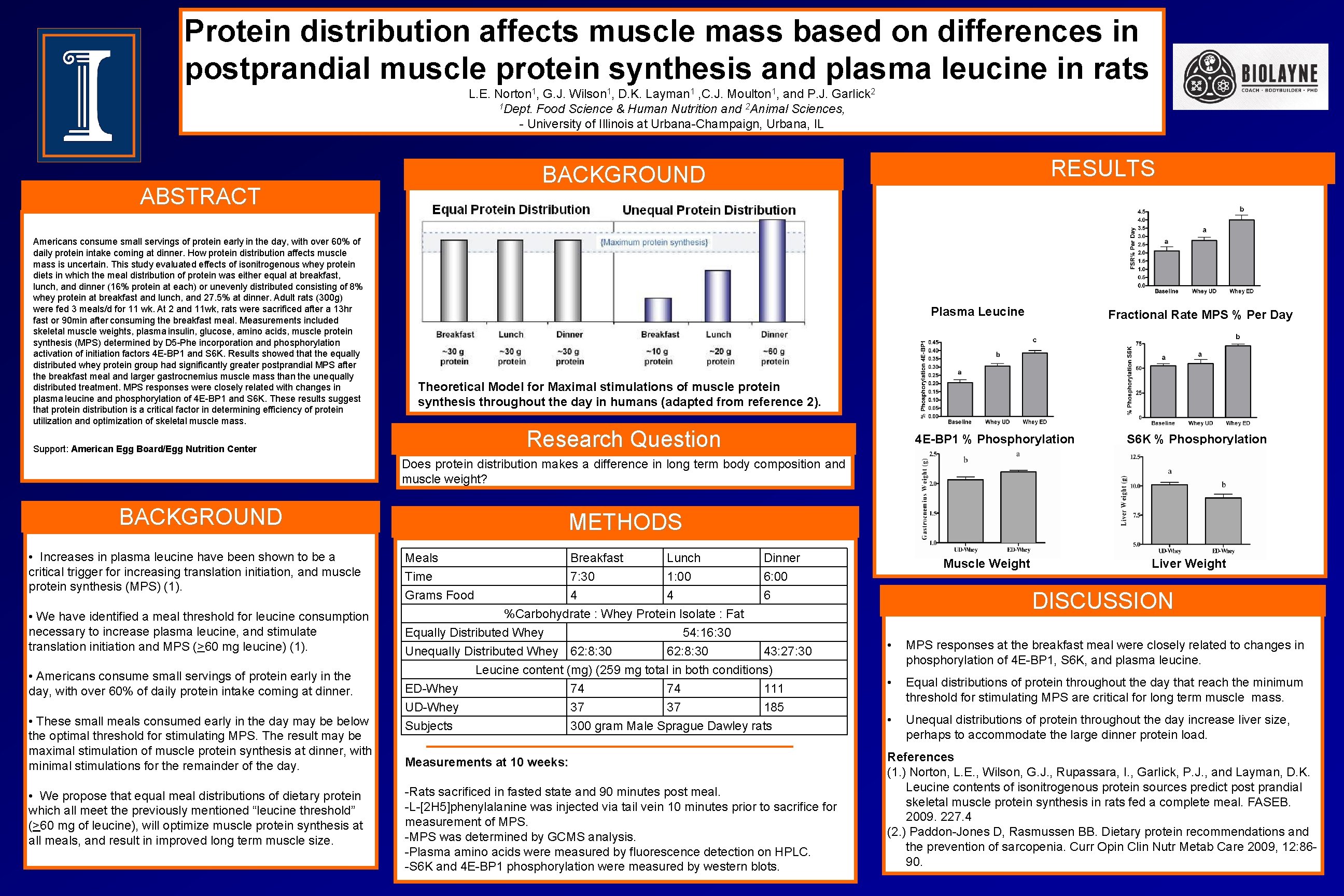 Protein distribution affects muscle mass based on differences
