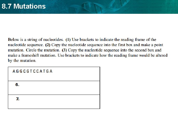 8 7 Mutations KEY CONCEPT Mutations are changes