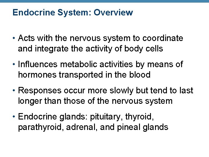Endocrine System Overview Acts with the nervous system