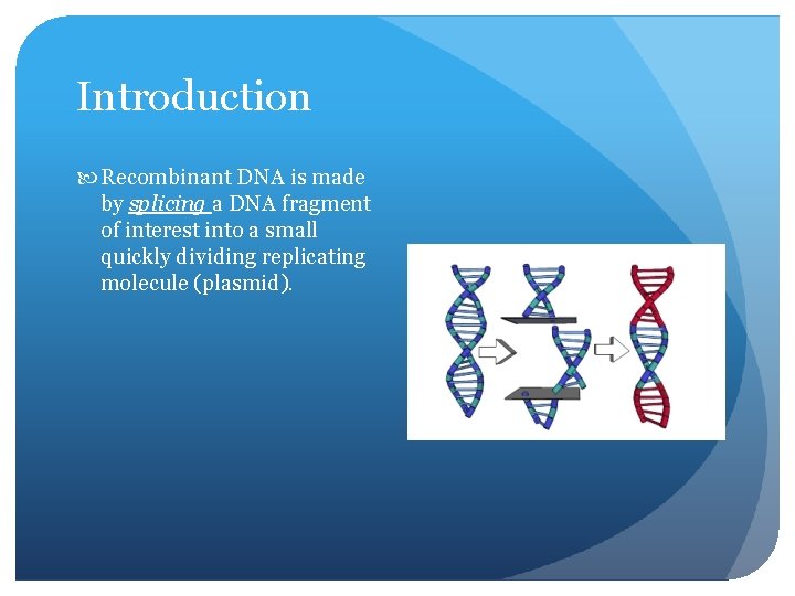 Biotechnology Packet 12 Chapter 9 Introduction Since the