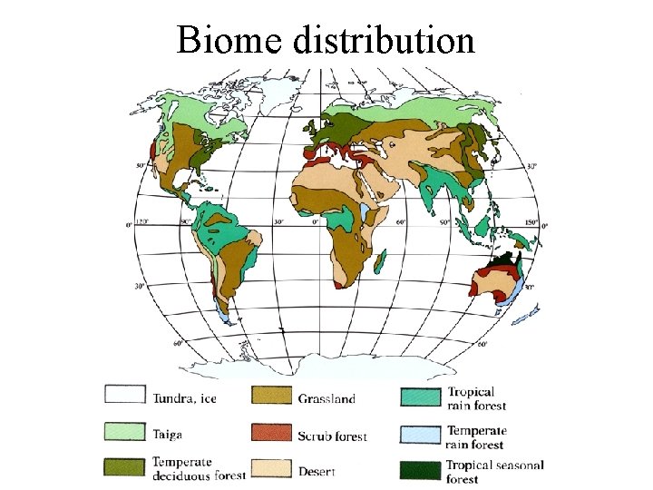Ecology Global climate and productivity Species diversity Island