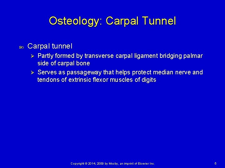 Chapter 6 Structure and Function of the Wrist
