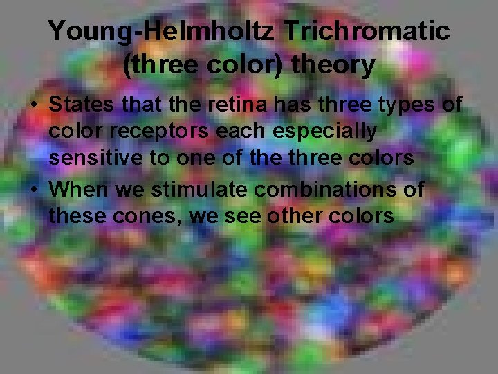 Color Vision and Color Constancy By Marshawna Eberhart