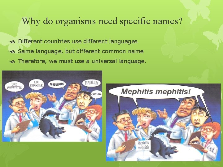 Bell Ringer 8 2014 Describe the difference in