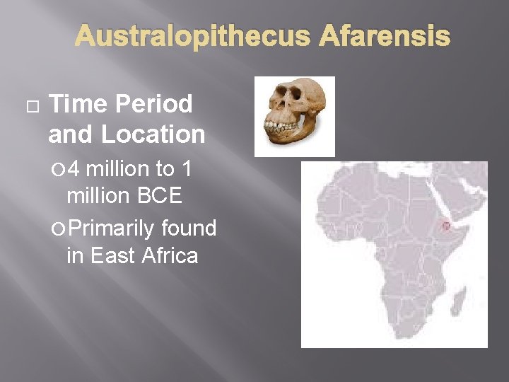 Big Question What more than anything shaped the