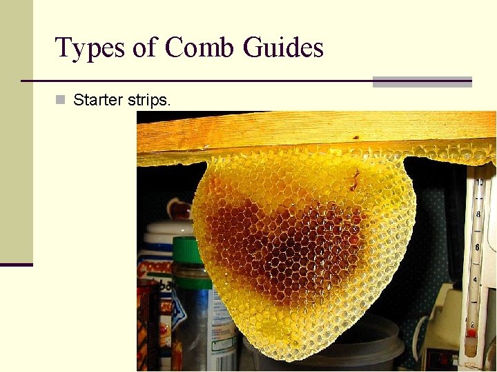 Horizontal Hives Horizontal and Top Bar Hives Copyright