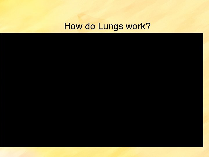 The Respiratory System System Overview Includes tubes that