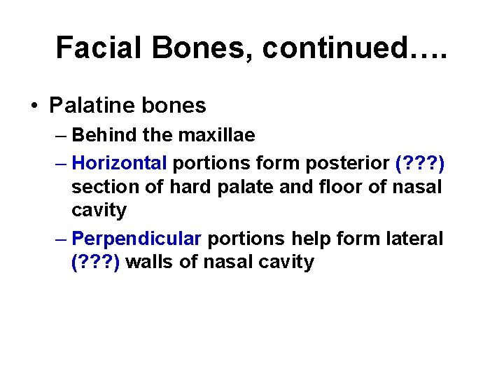 Facial Skeleton Maxillae 2 Form the upper jaw