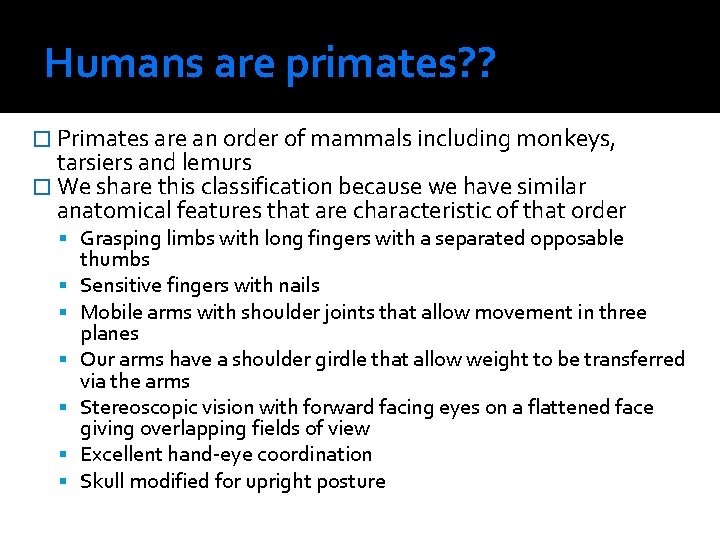 Bio HL Human Origins and Evolution Full Classification