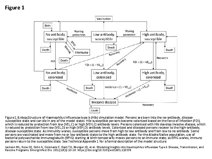 Figure 1 nbsp Structure of Haemophilus influenzae type