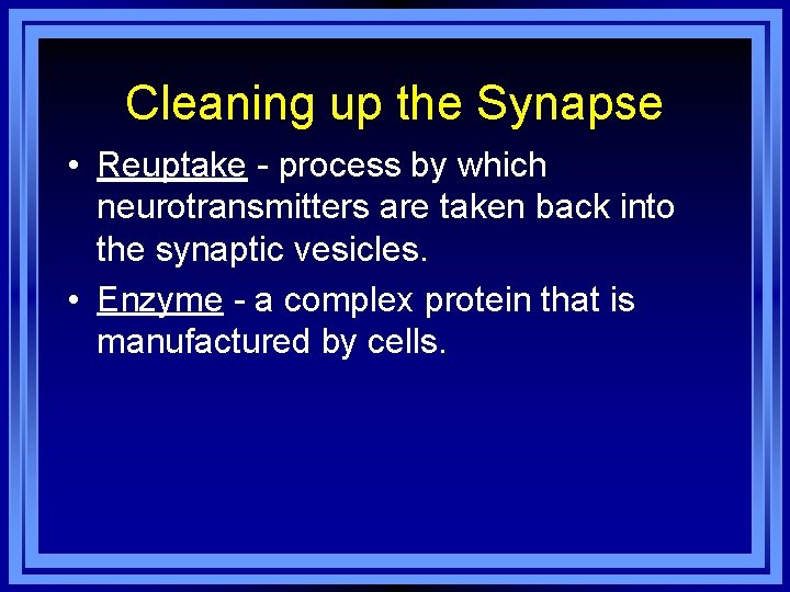 Neuroscience The Biological Perspective Chapter 2 Overview of