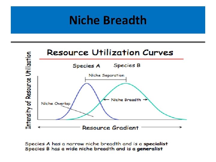 Chapter 4 Biodiversity and Evolution What is Biodiversity