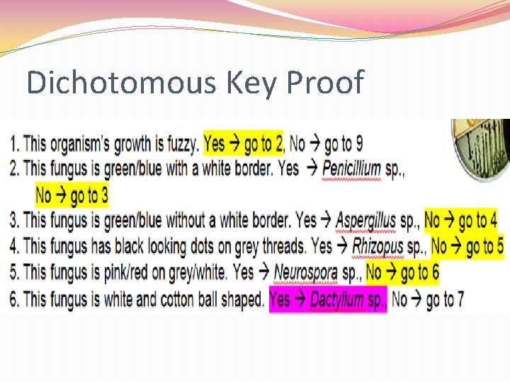 CDC Investigation Jesus Galan Hannah Van Dyke and