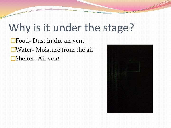 CDC Investigation Jesus Galan Hannah Van Dyke and