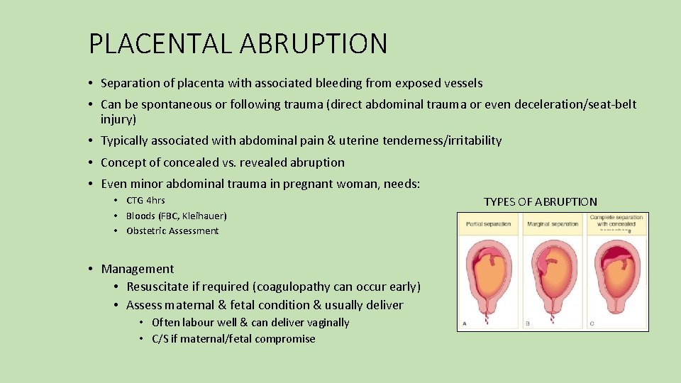 Obstetrics in the ED Ben Shepherd ANTEPARTUM FUN
