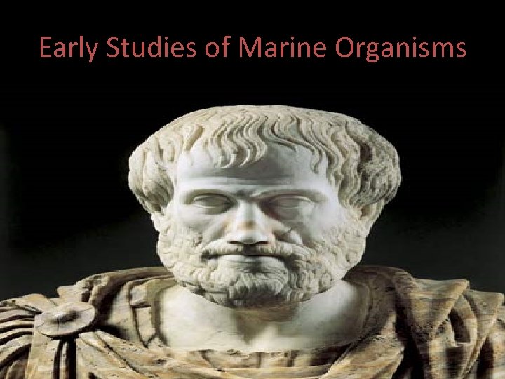 Introduction to Marine Biology Objectives Students will be