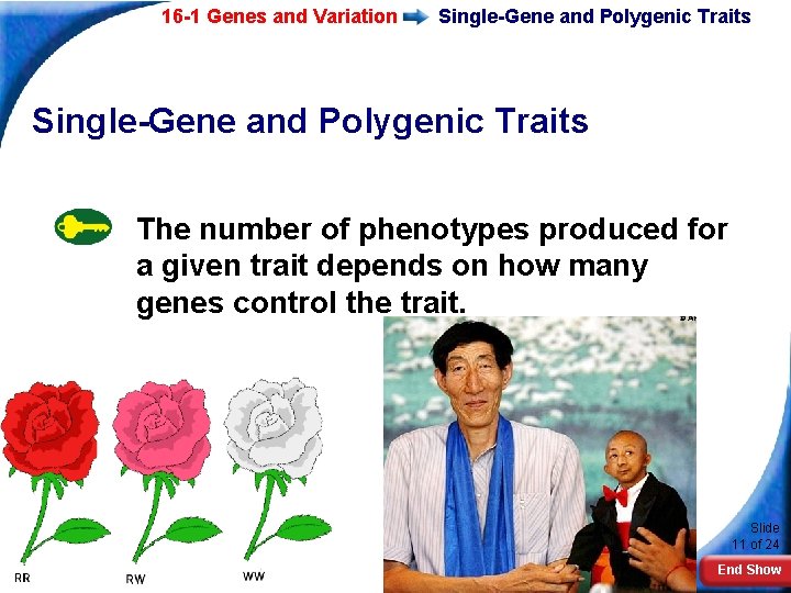 Biology Slide 1 of 24 Copyright Pearson Prentice