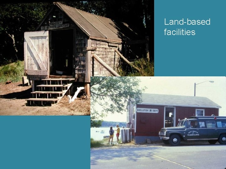 MUNICIPAL SHELLFISH RESTORATION FORTY YEARS OF EXPERIMENTATION AND