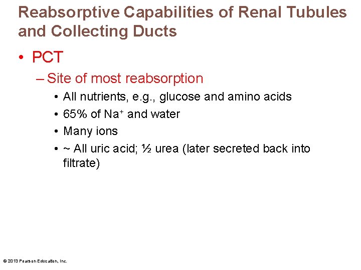 Power Point Lecture Slides prepared by Barbara Heard