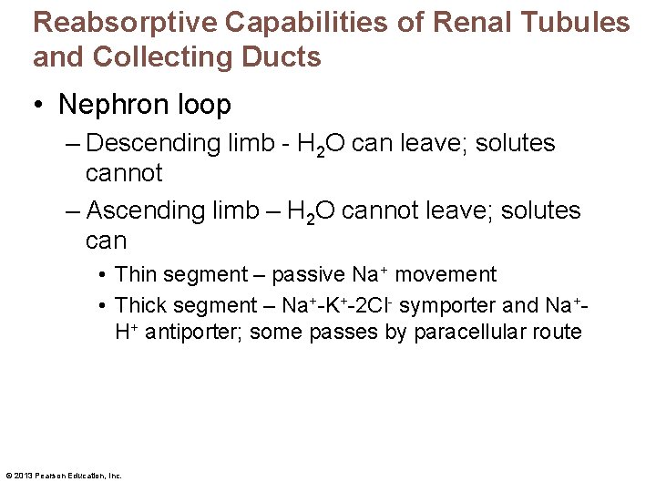 Power Point Lecture Slides prepared by Barbara Heard