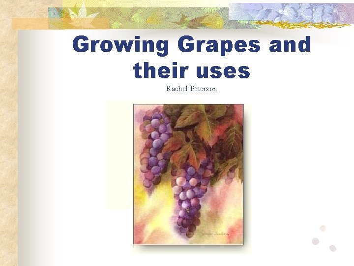 Growing Grapes and their uses Rachel Peterson Introduction