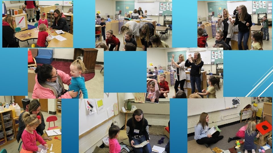 FAMILY AND CONSUMER SCIENCES WHAT IS FAMILY CONSUMER