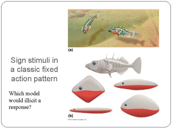 Ch 50 Review Names the biomes labeled af