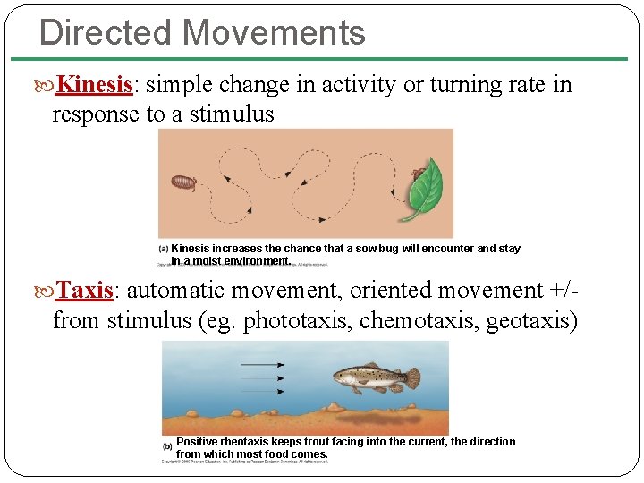 Ch 50 Review Names the biomes labeled af