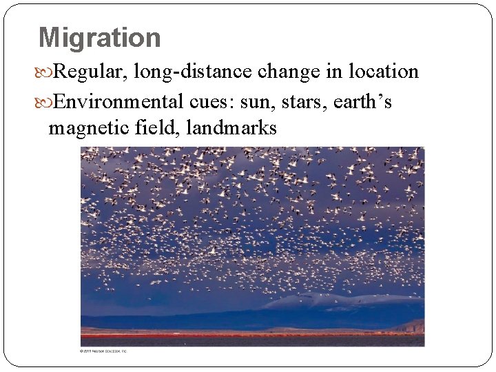 Ch 50 Review Names the biomes labeled af