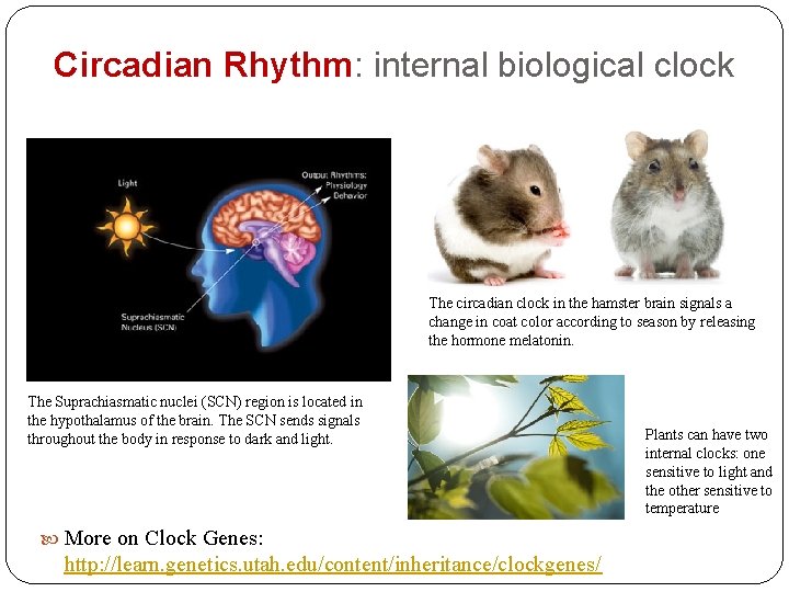 Ch 50 Review Names the biomes labeled af