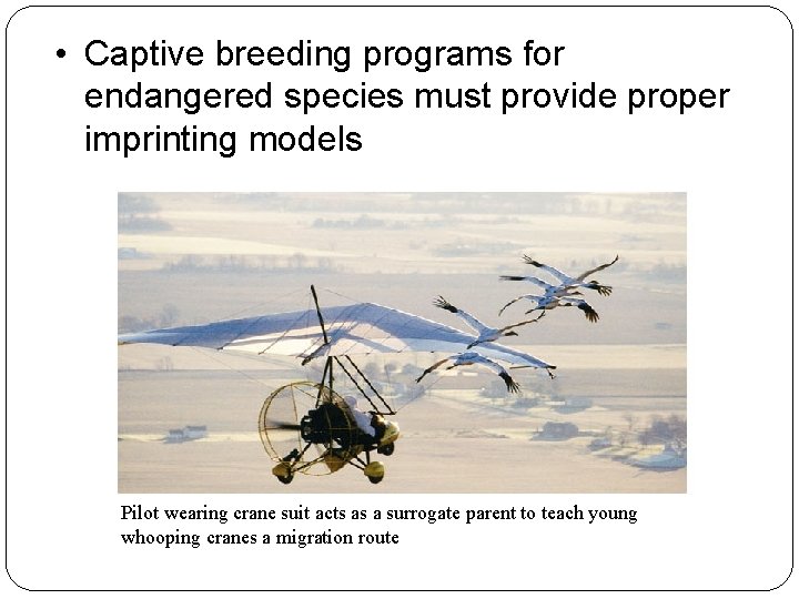 Ch 50 Review Names the biomes labeled af